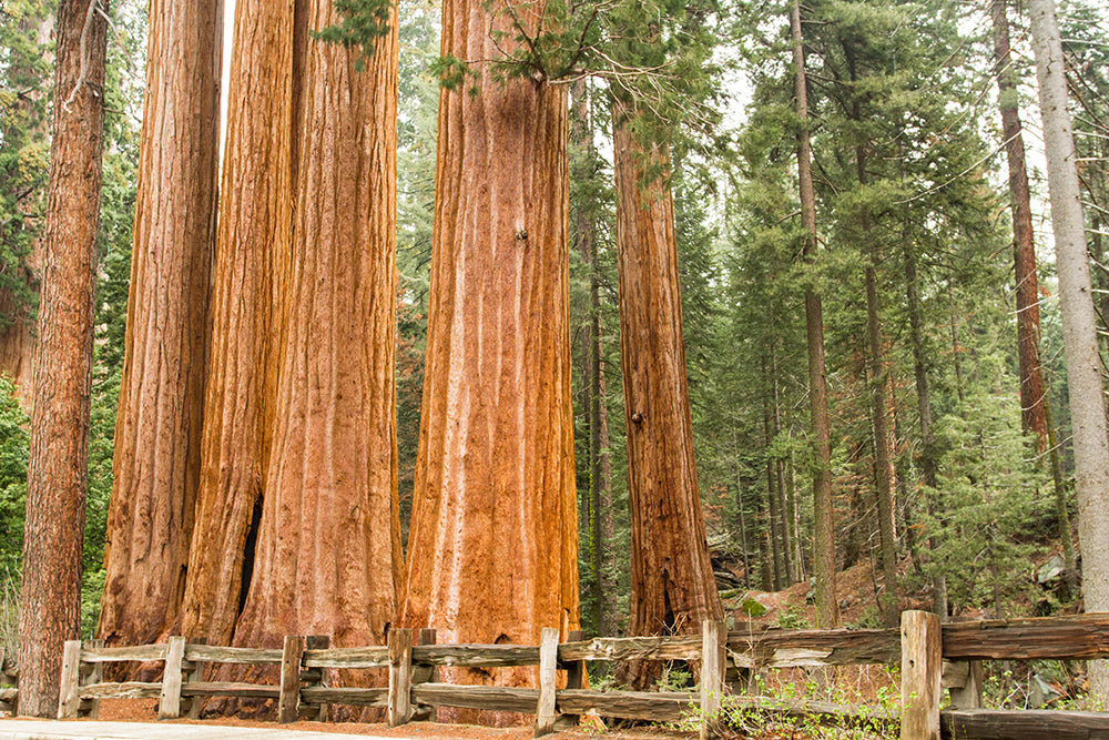 A New Frontier – Good Grit Magazine